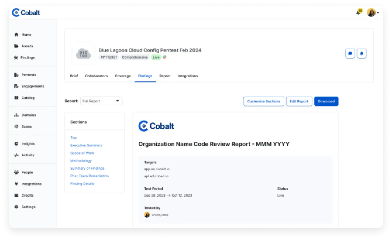 Digital Risk Assessment Services Cobalt